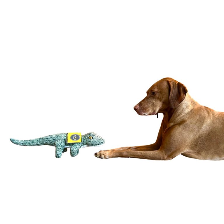 Lazy Lizard Dog Toy - ROCT Outdoor
