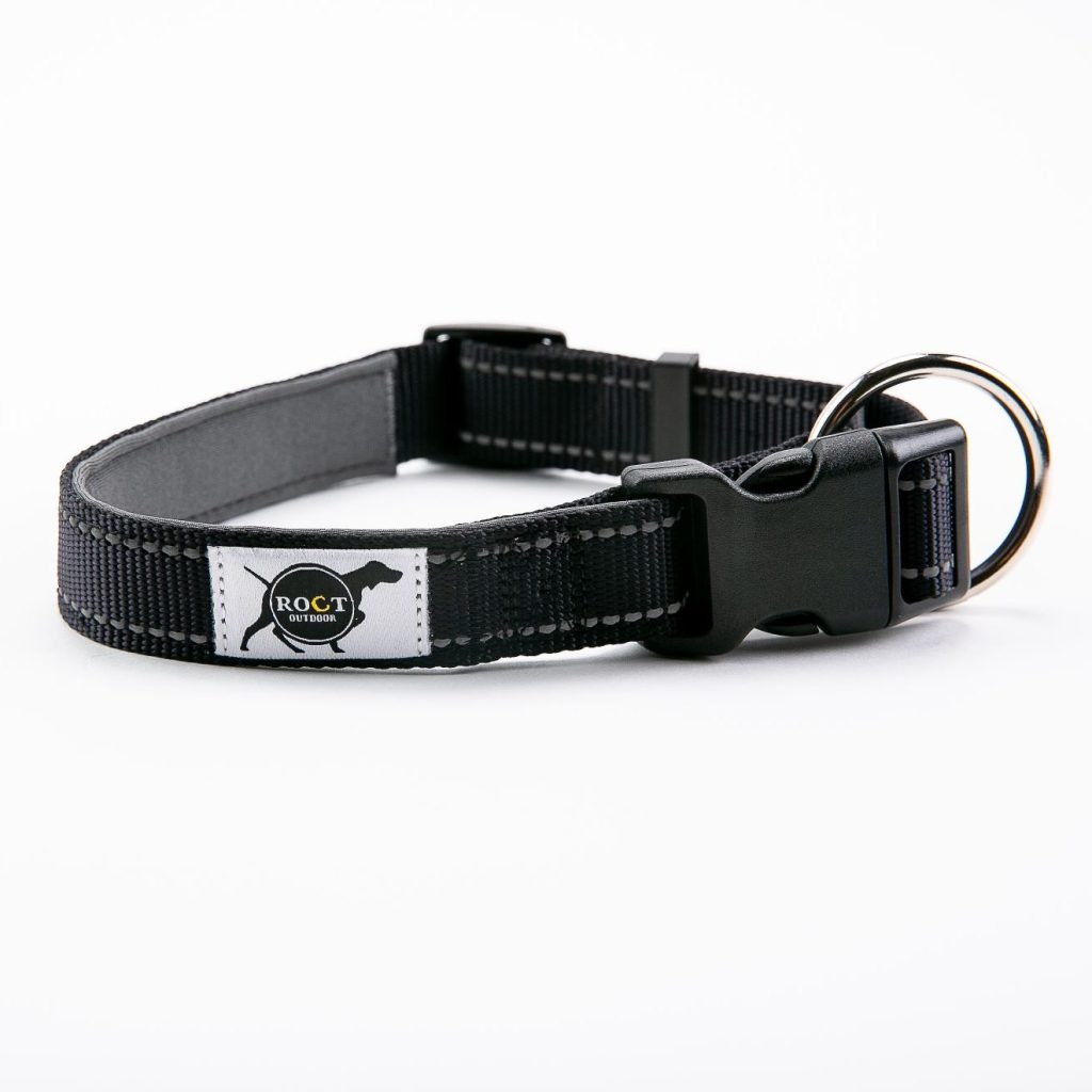 Stylish and Durable Dog Collars for Your Lifestyle | ROCT Outdoor