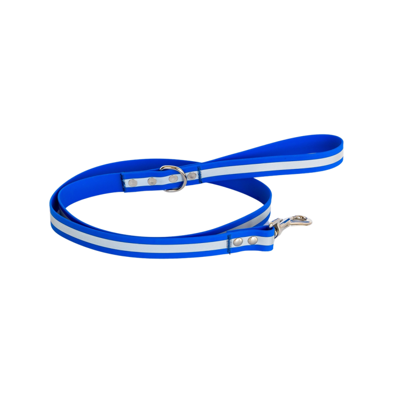Upland Field Dog Leash - Blue Reflective - Pet Products - ROCT Outdoor