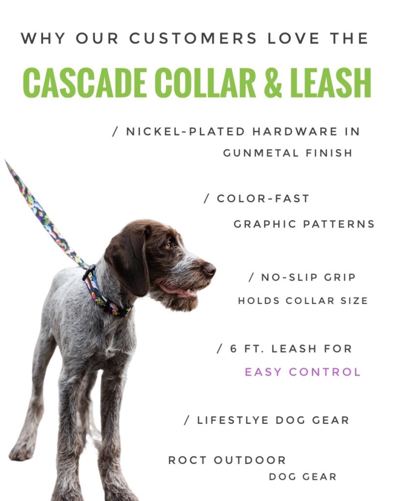 Cascade Dog Collar - Thunder Camo - ROCT Outdoor